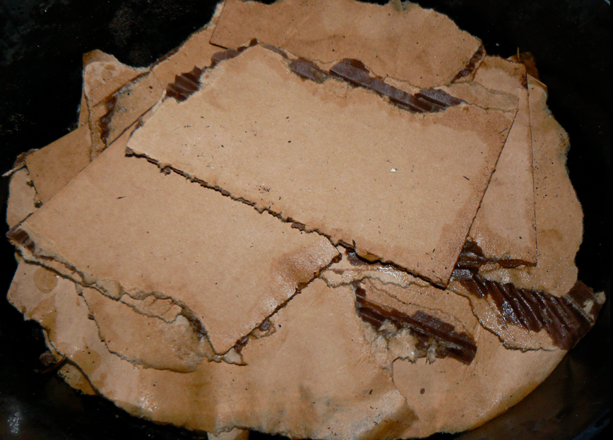 DIY flow through worm bin | Texas Jumpers