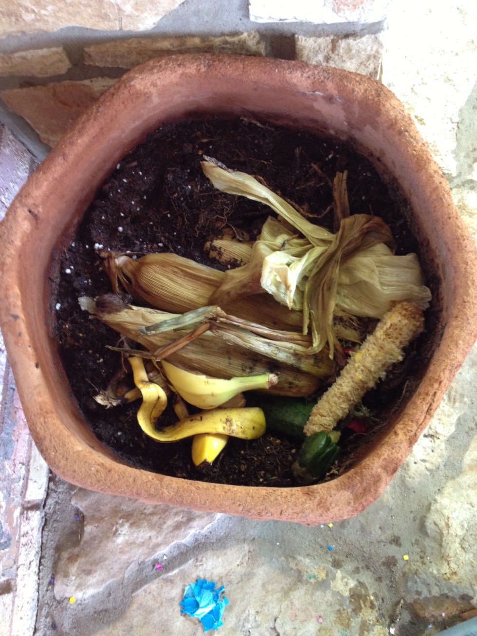 make your own worm bed | Texas Jumpers