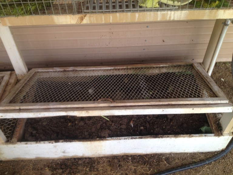 make your own worm bed | Texas Jumpers