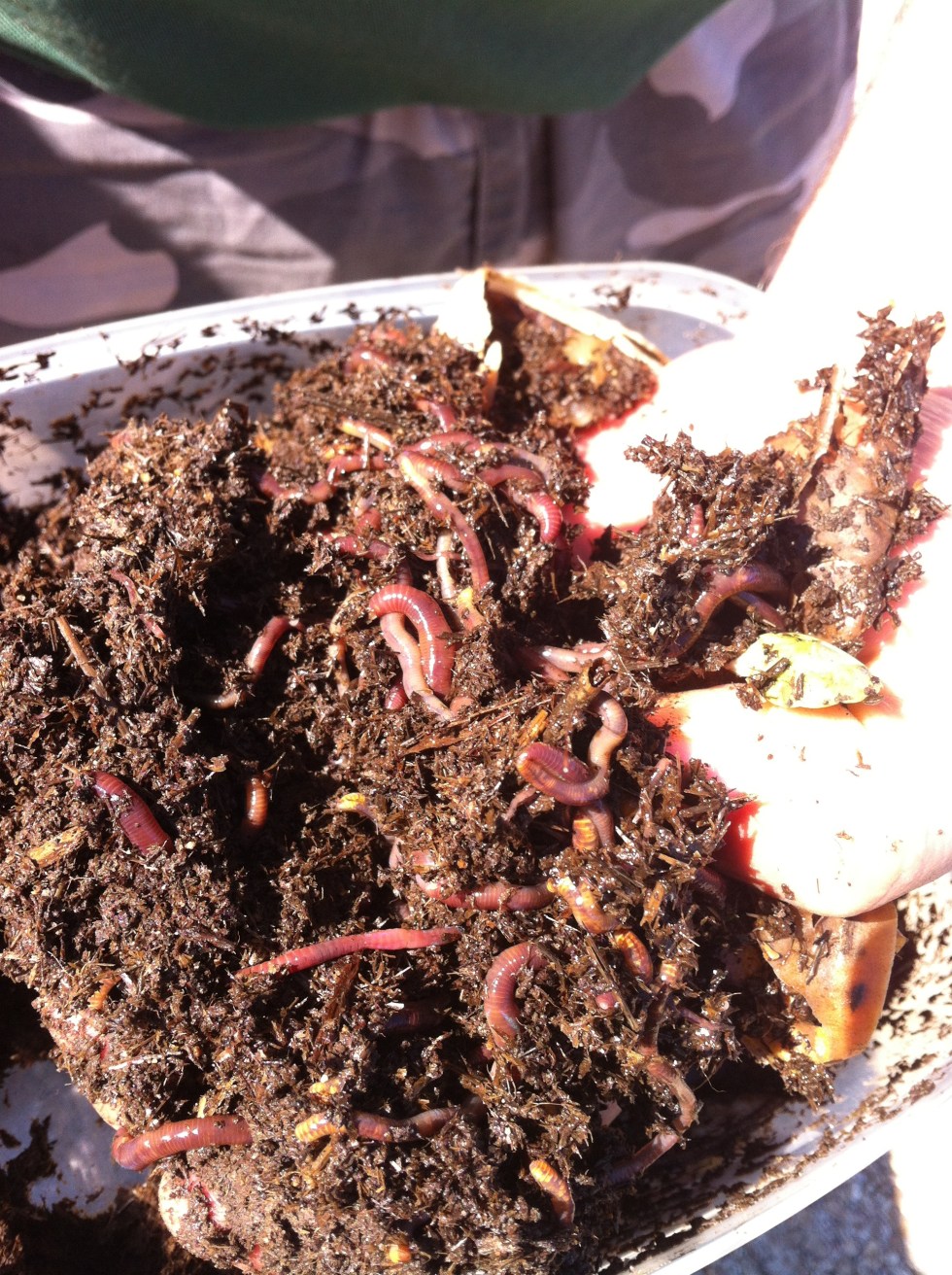 Alabama Jumpers | Texas Jumpers